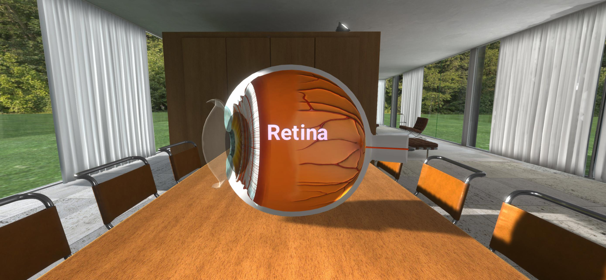 Retinal Vein Occlusion Animations & Simulation Tools | Vision RELIEF